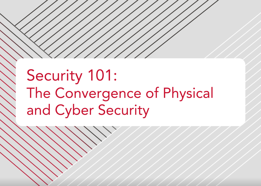 Global Physical Security Program Management | Northland Controls