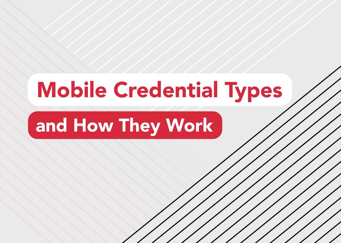 Physical Security Resources | Northland Controls